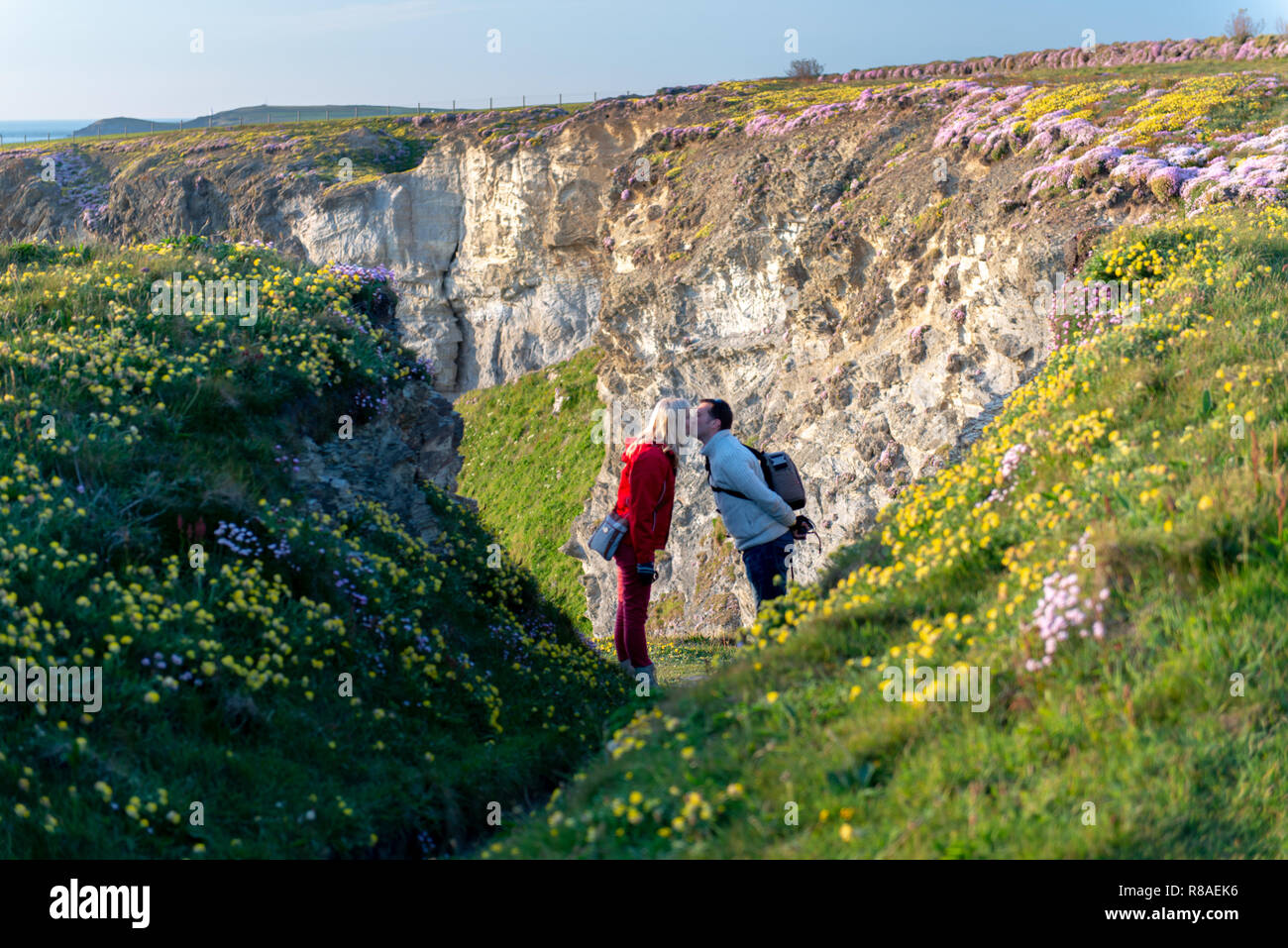 Cornwall countryside hi-res stock photography and images - Alamy