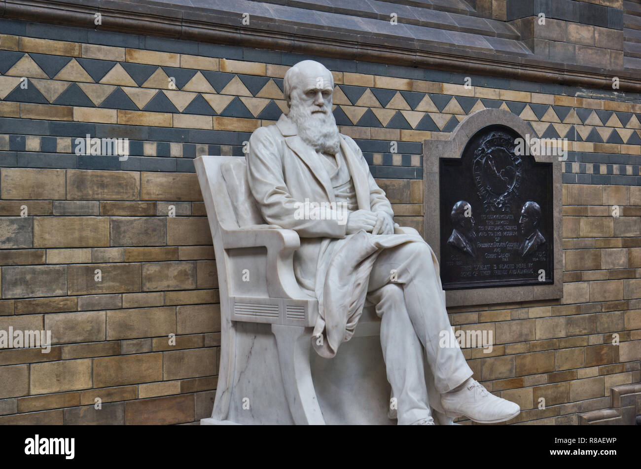 Life-size marble 1885 statue of Charles Darwin by Sir Joseph Boehm ...