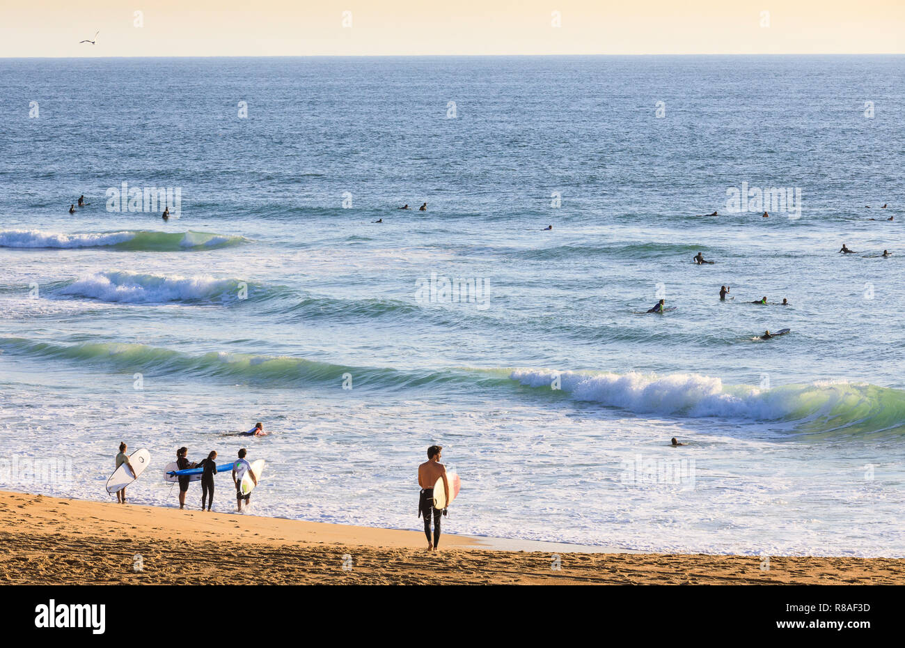 Plage hossegor france hi-res stock photography and images - Alamy