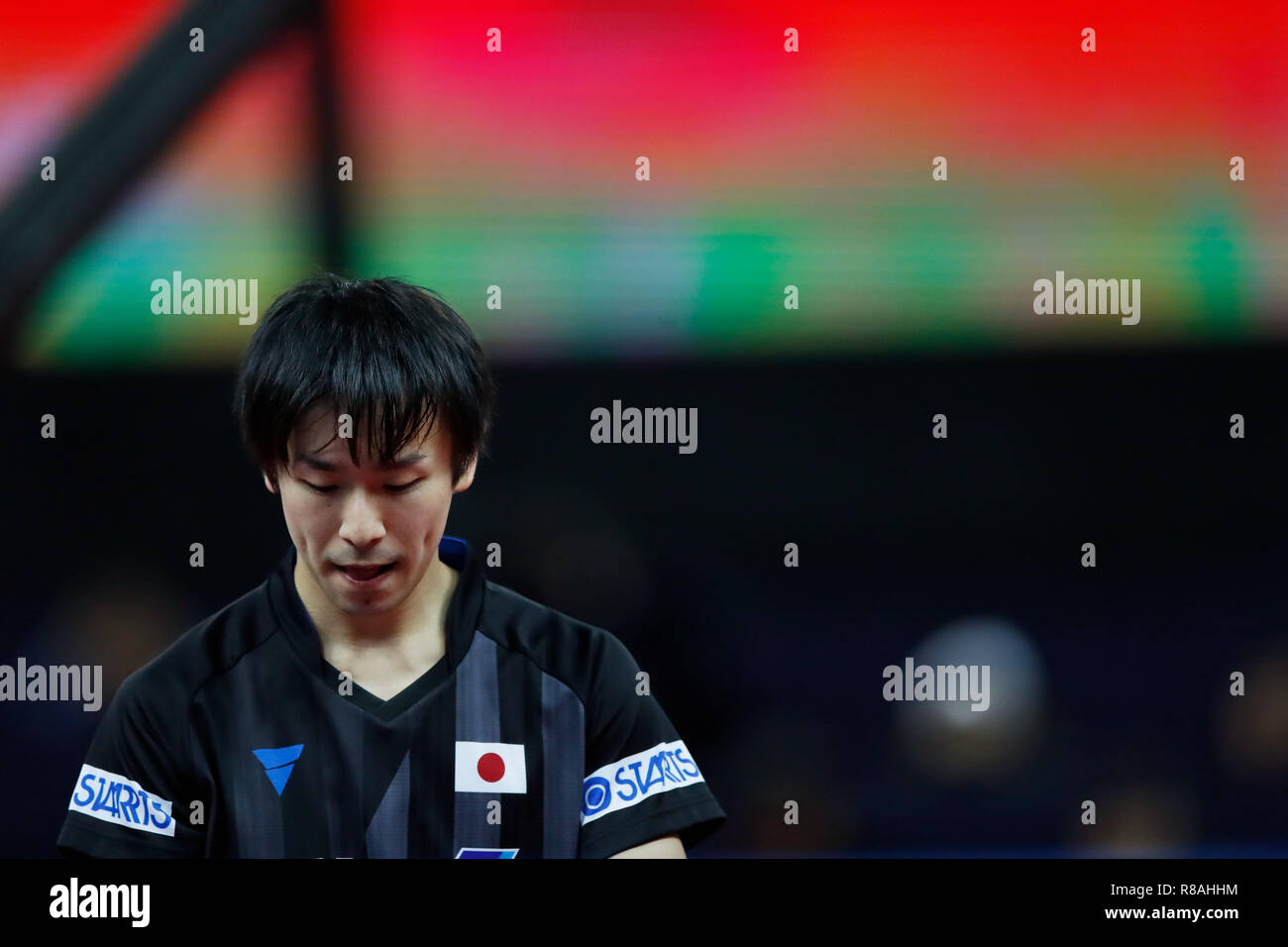 Incheon, South Korea. 14th Dec, 2018. Koki Niwa (JPN) Table Tennis ...