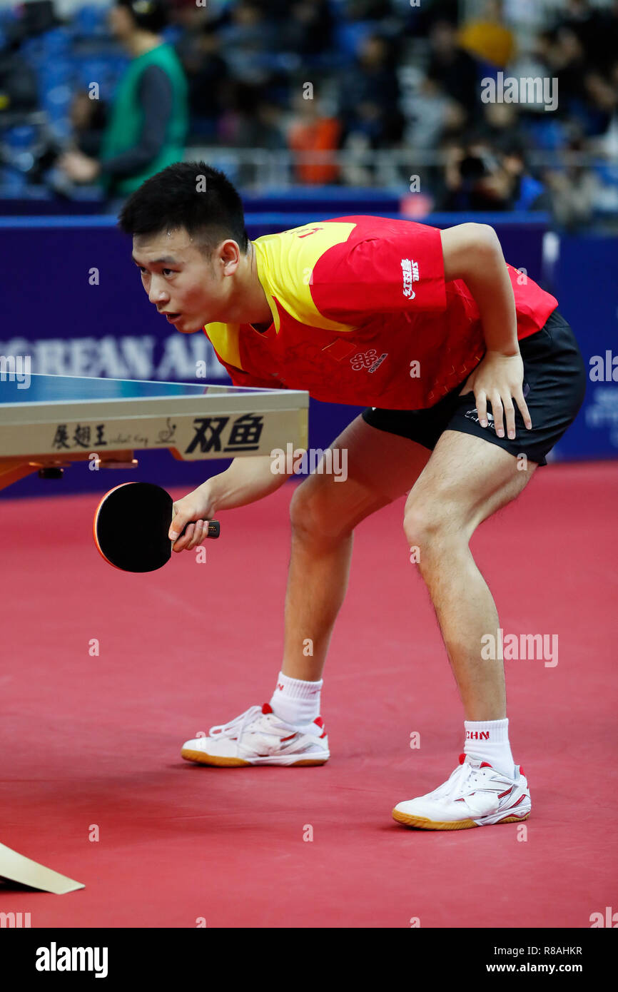 Incheon, South Korea. 14th Dec, 2018. Liu Dingshuo (CHN) Table Tennis ...