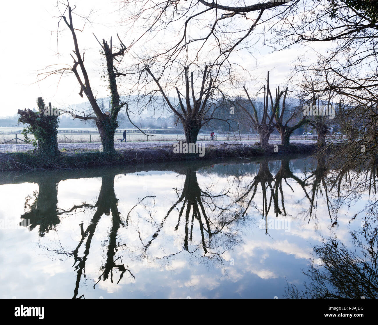Bathampton meadows river hi-res stock photography and images - Alamy