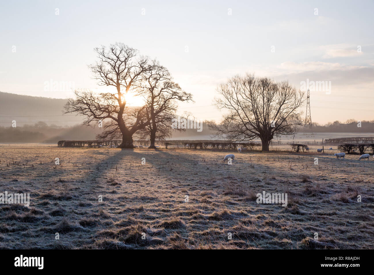 Bathampton meadows river hi-res stock photography and images - Alamy
