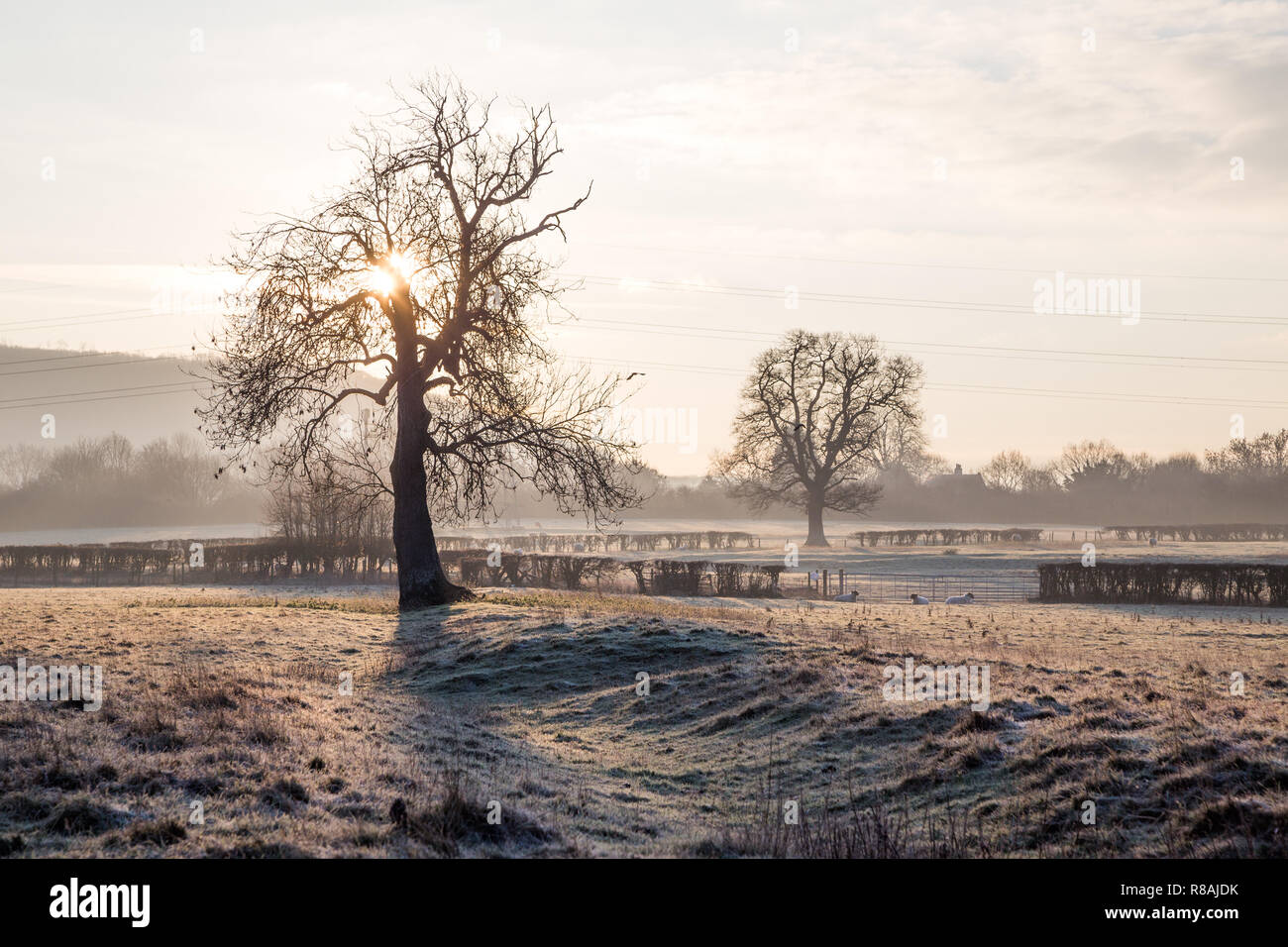 Bathampton meadows river hi-res stock photography and images - Alamy