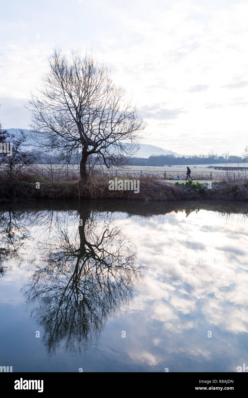Bathampton meadows river hi-res stock photography and images - Alamy