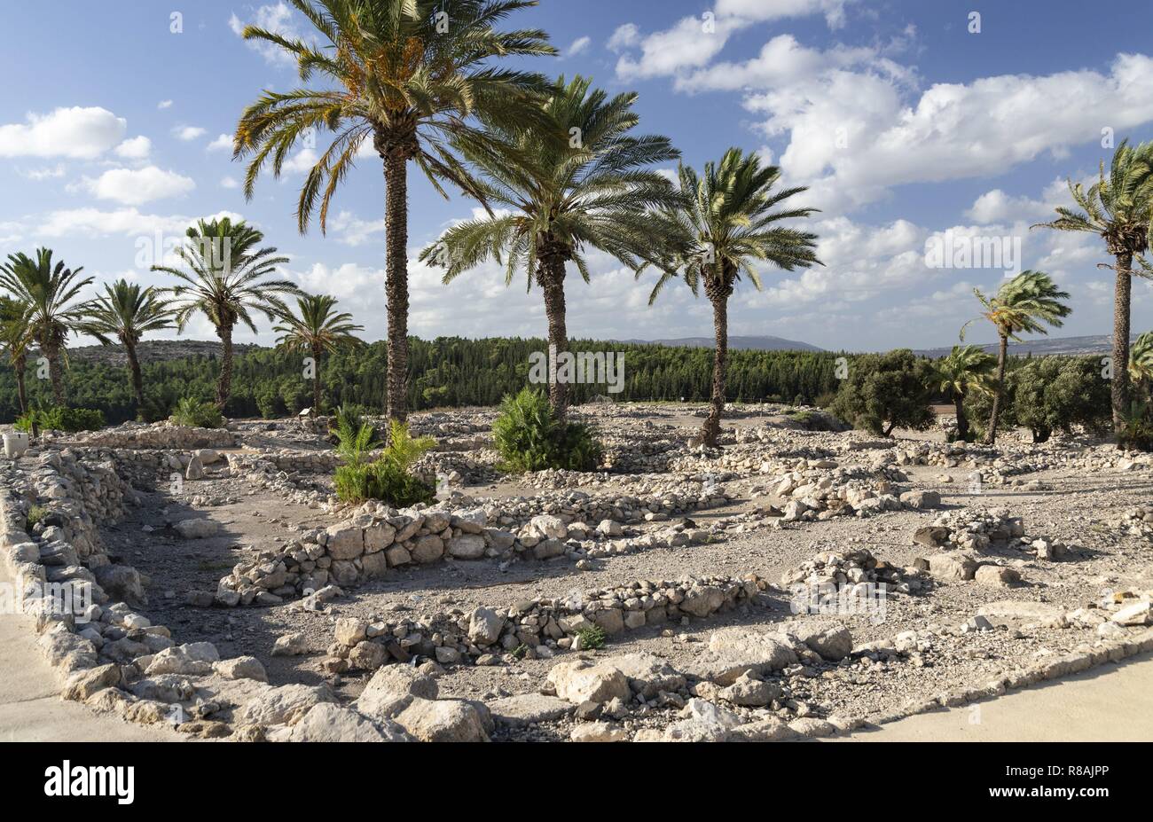 Megiddo, Israel. 26th Oct, 2018. The Megiddo excavation site can look ...