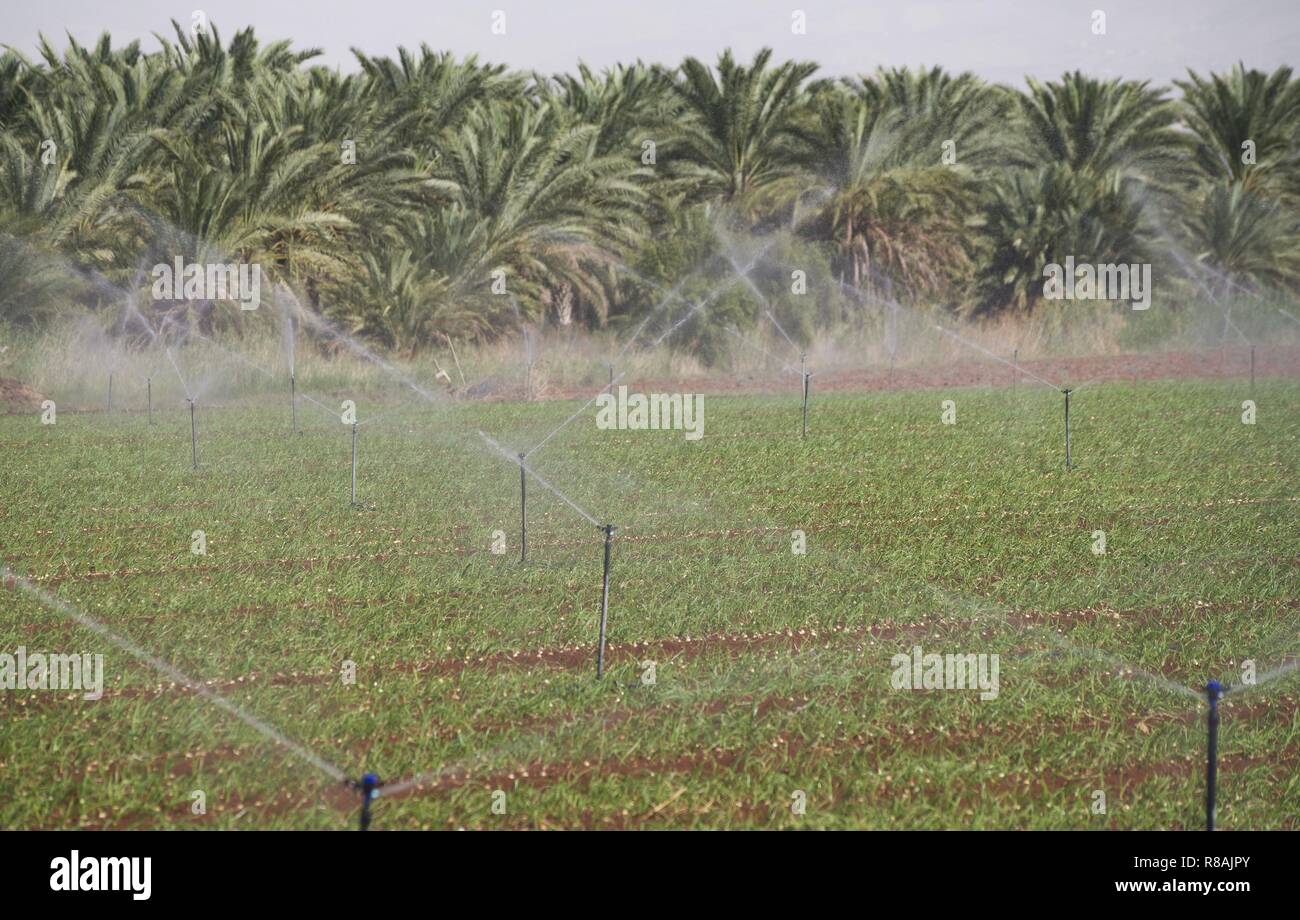 Intensive irrigation hi-res stock photography and images - Alamy