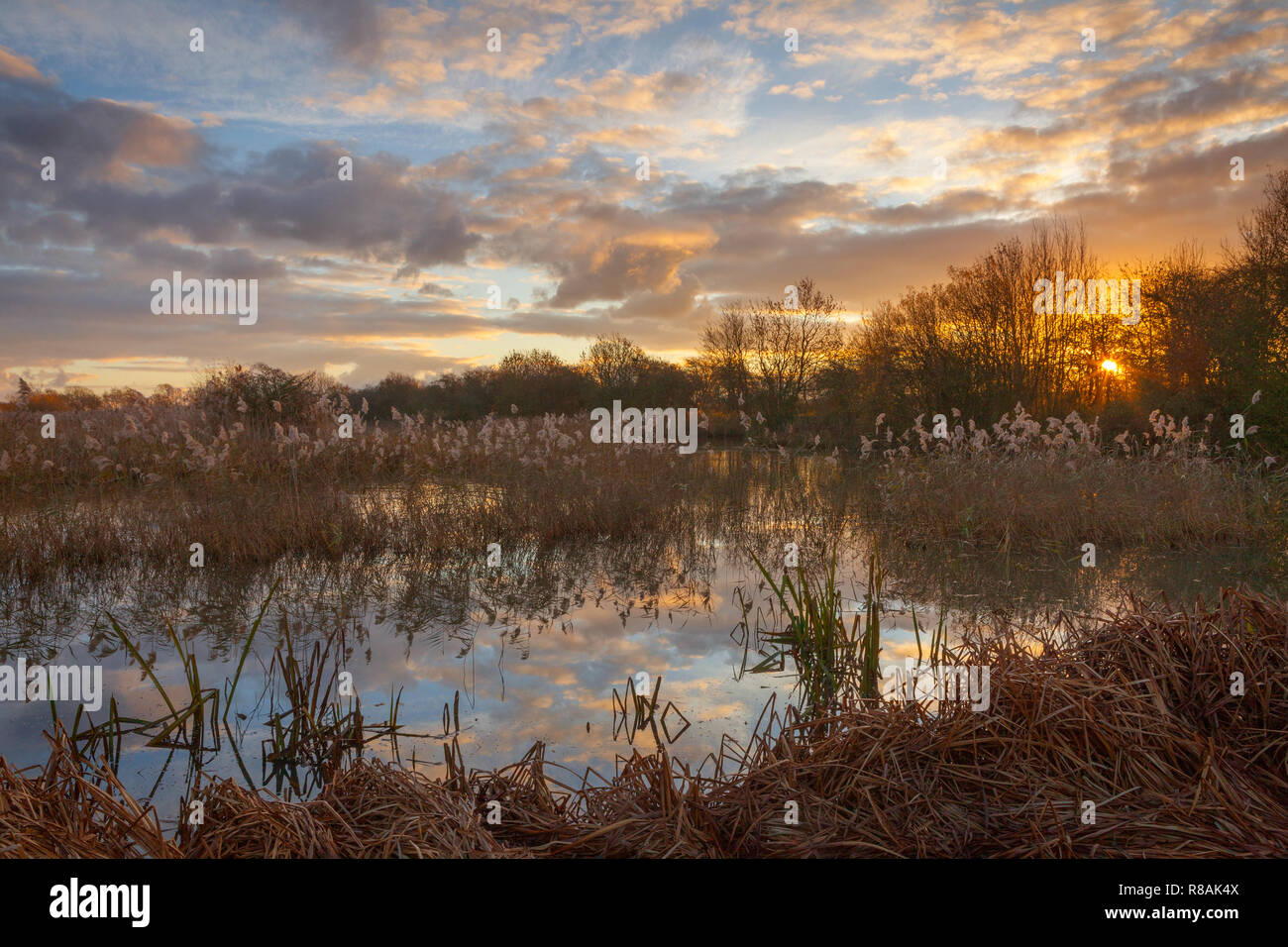 Barton nature reserve hi-res stock photography and images - Alamy