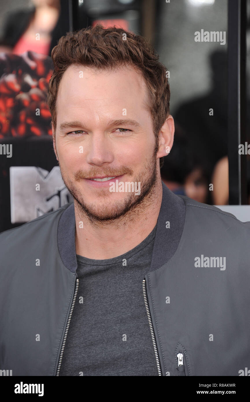 Los Angeles, USA. 13th Apr, 2014. Actor Chris Pratt arrives at the 2014 ...