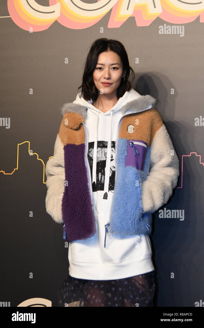 Shanghai, Shanghai, China. 14th Dec, 2018. Shanghai, CHINA-Chinese ...