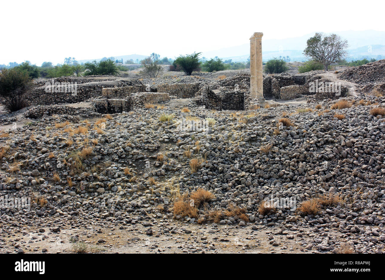 Bishapur hi-res stock photography and images - Alamy