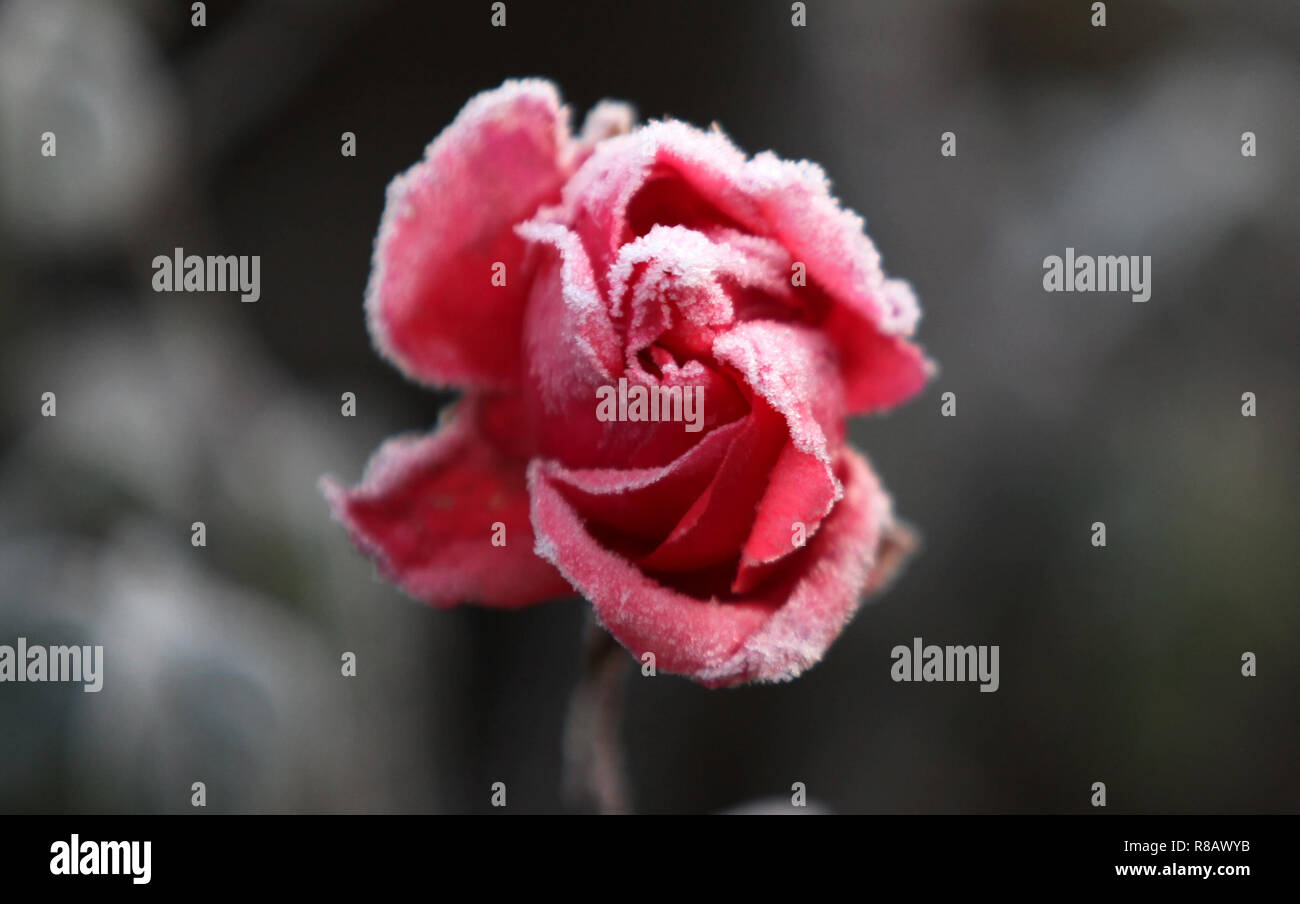 Delong lake hi-res stock photography and images - Alamy