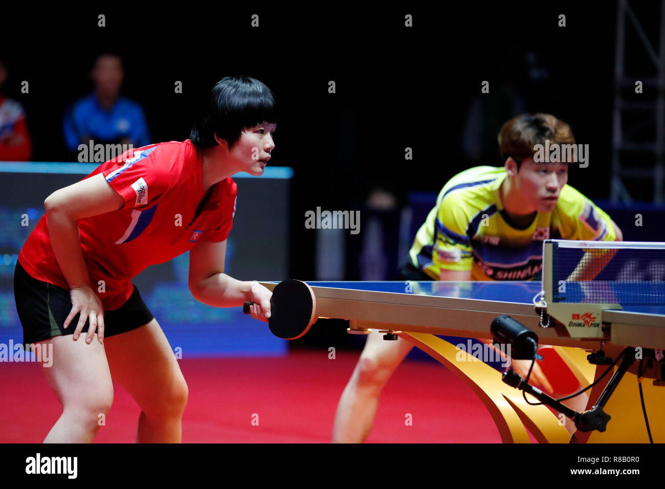 Incheon, South Korea. 15th Dec, 2018. Cha Hyo Sim (PRK) & Jang Woojin ...