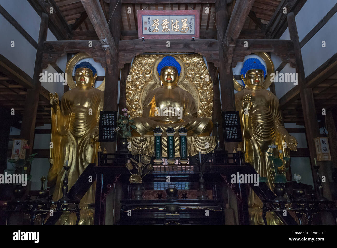 Fukuoka, Japan- October18, 2018: Golden buddha statues in the ...