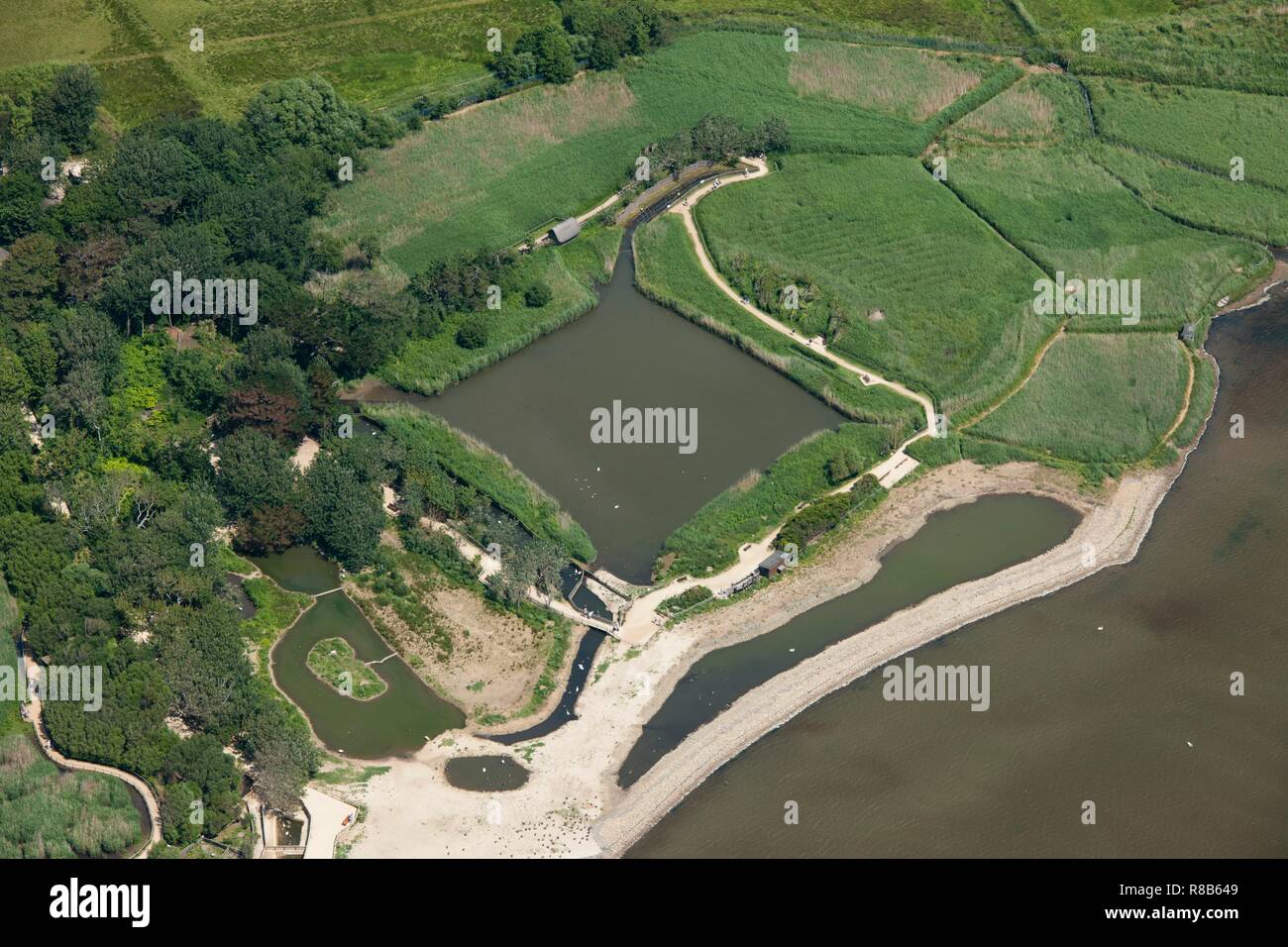 Decoy pond, Abbotsbury Swannery, Dorset, 2014. Creator: Historic ...