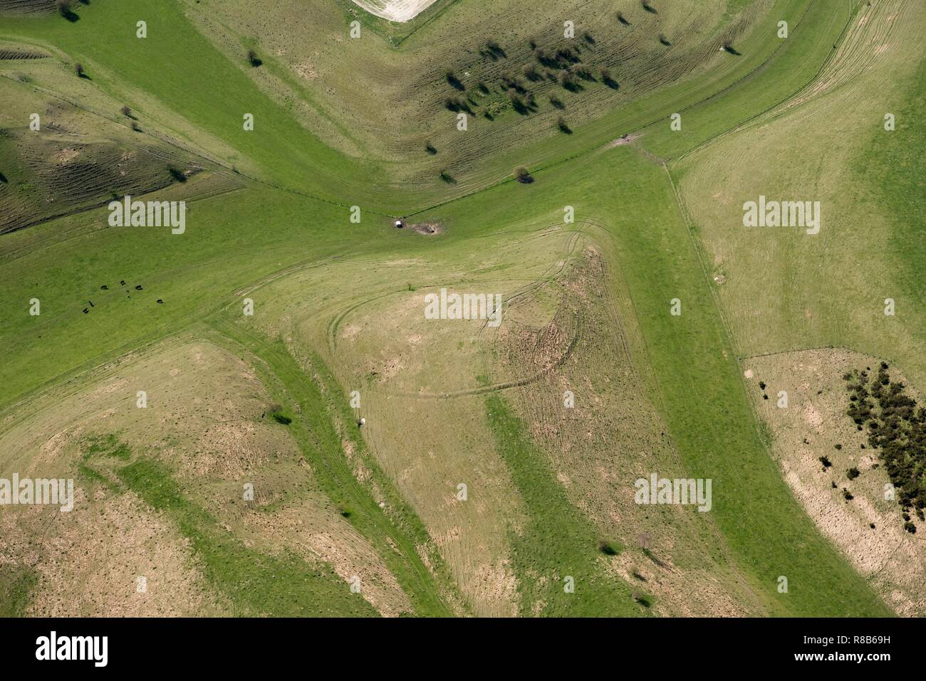 Probable tree enclosure ring earthwork on Calstone Down, Wiltshire ...