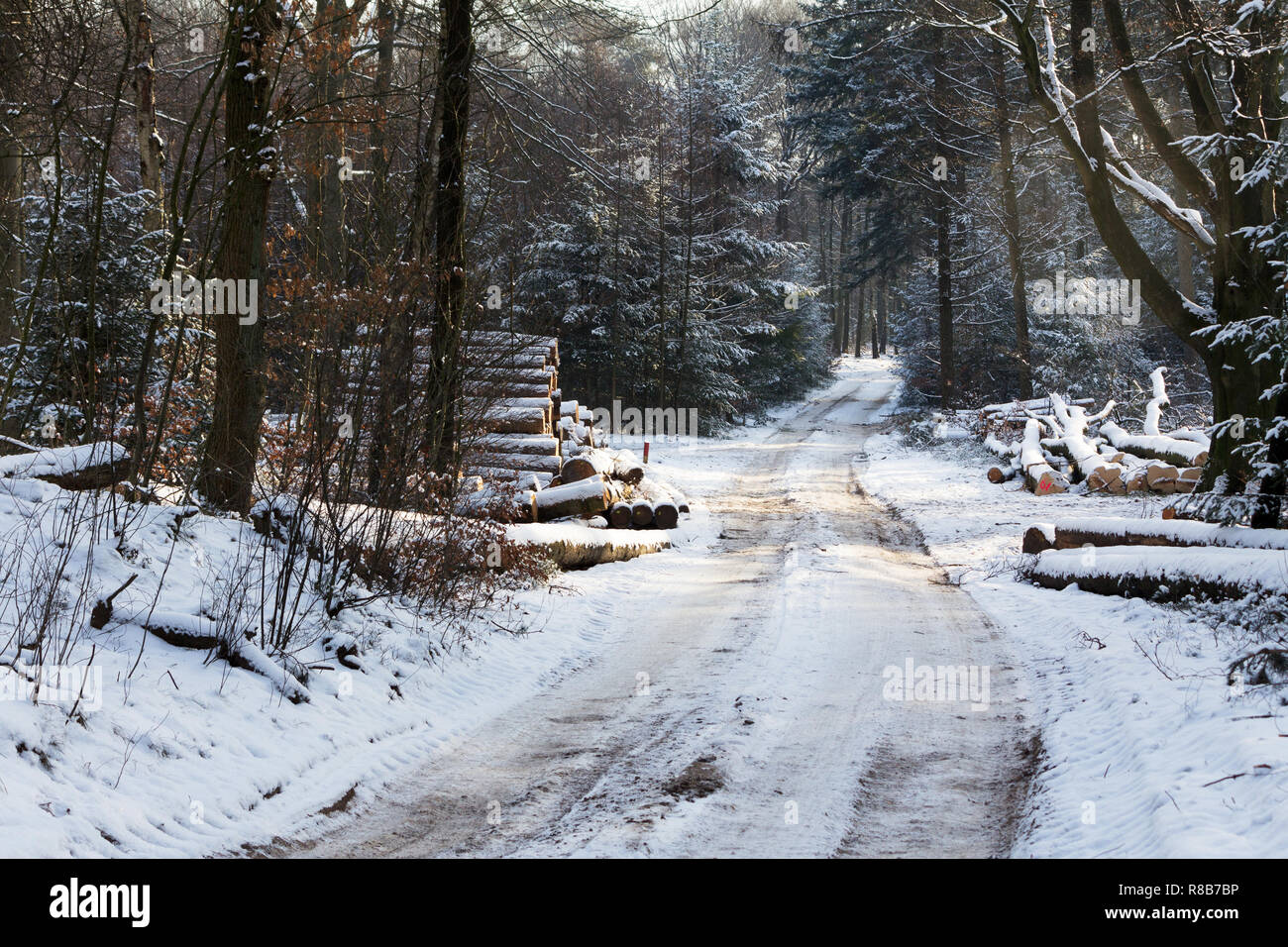 Snow on a road hi-res stock photography and images - Alamy