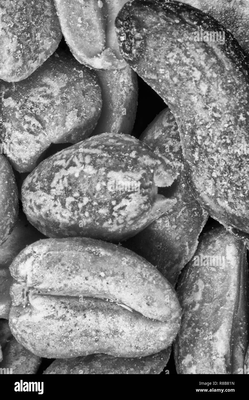 Shell of nuts Black and White Stock Photos & Images - Alamy
