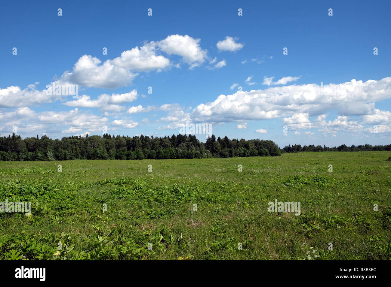Beautiful countryside landscape with blue sky with white clouds above ...