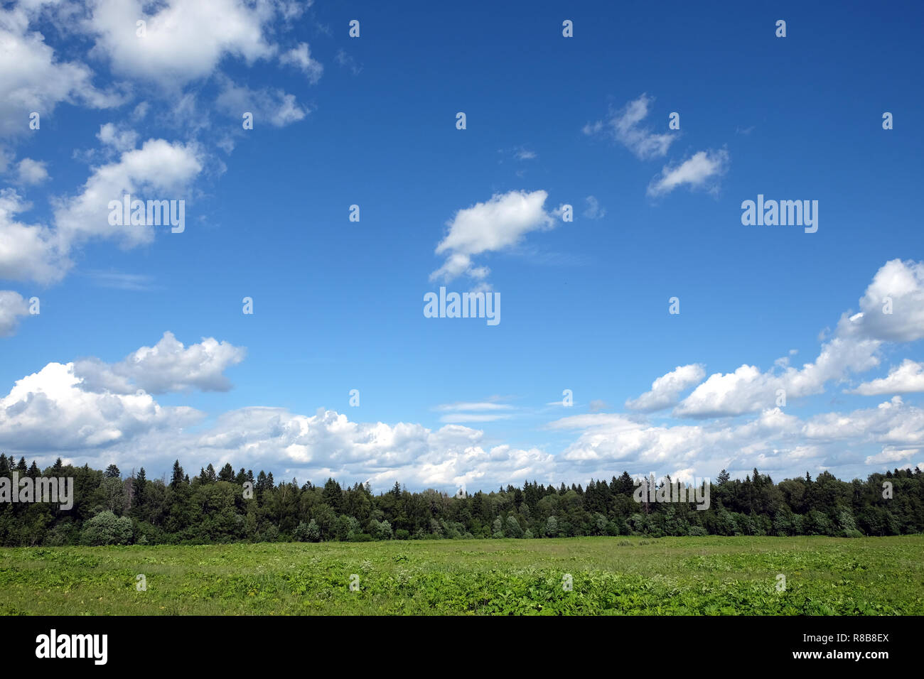 Beautiful countryside landscape with blue sky with white clouds above ...