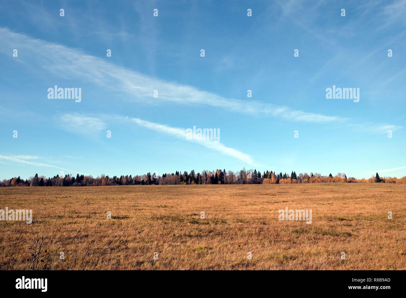 Beautiful autumn countryside landscape with field and forest at far ...