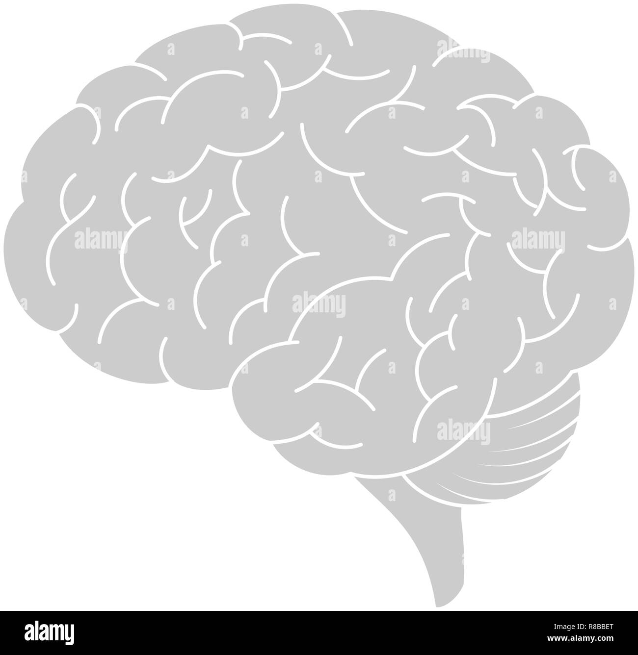 Brain vector icon Stock Vector Image & Art - Alamy