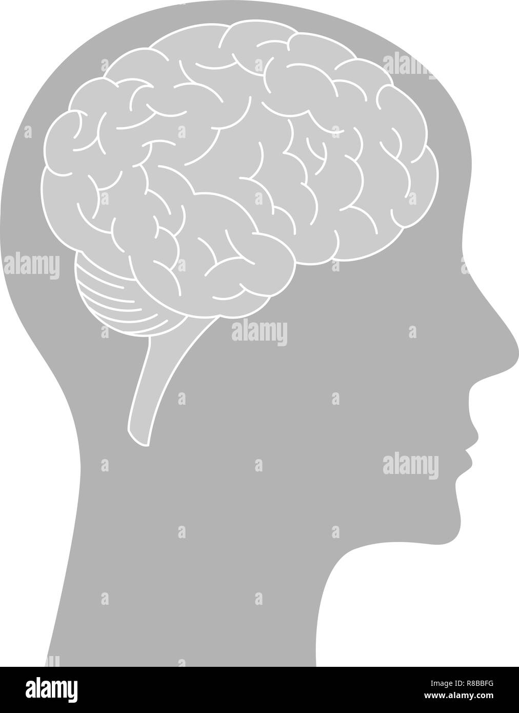 Brain vector icon Stock Vector Image & Art - Alamy