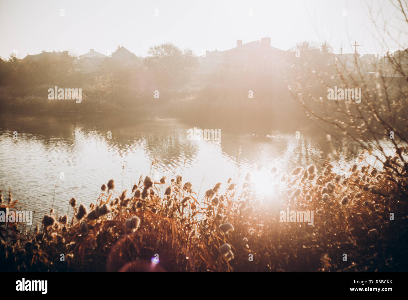 Early morning. Beautiful, colorful autumn lake in sunlight rays. Autumn ...