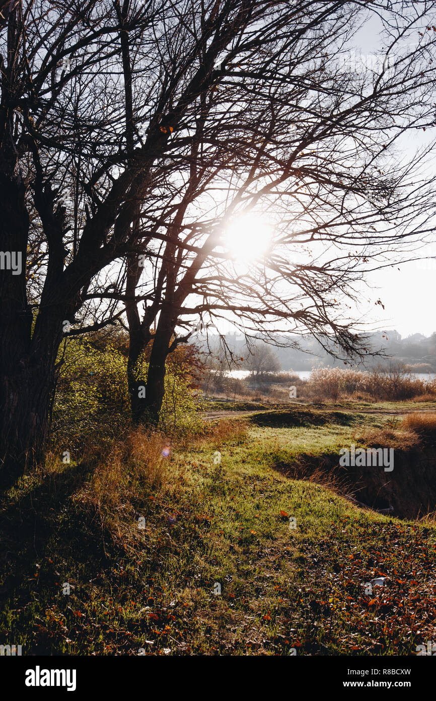 Autumn landscape in early sunny morning Stock Photo - Alamy