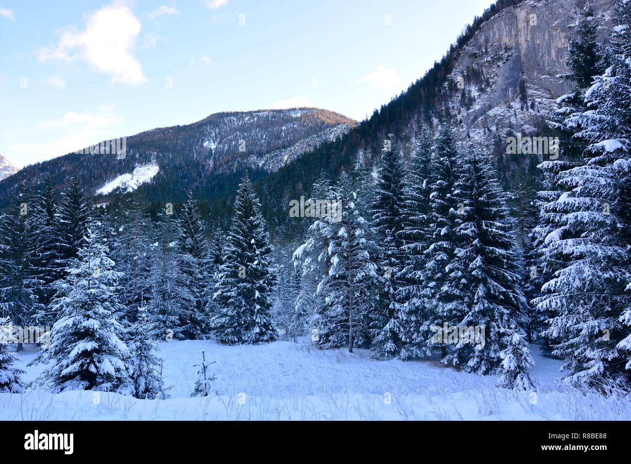 a big blizzard arrives, with a strong north wind, cold and impetuous ...