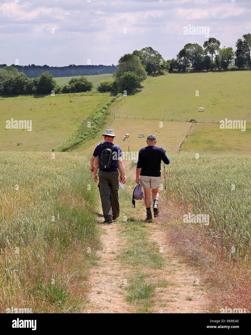 Hikers walking through meadow hi-res stock photography and images - Alamy