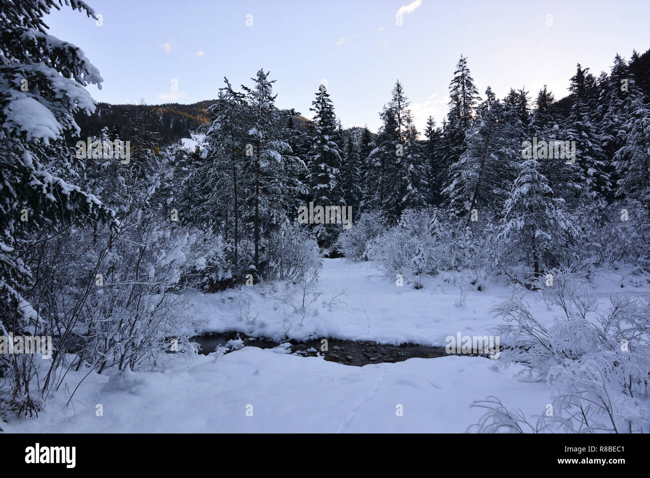 a big blizzard arrives, with a strong north wind, cold and impetuous ...