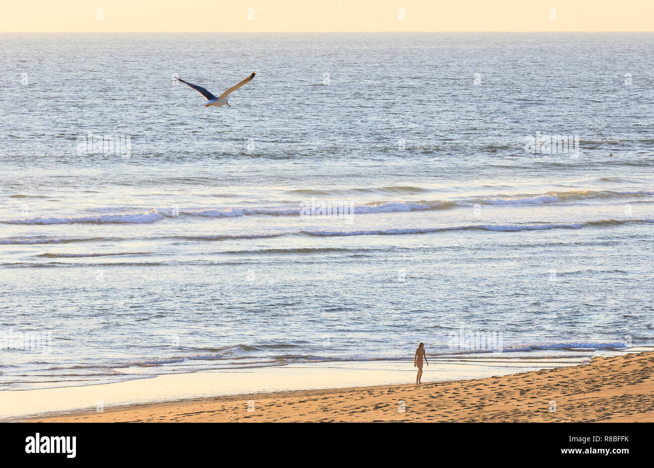 Plage hossegor france hi-res stock photography and images - Alamy