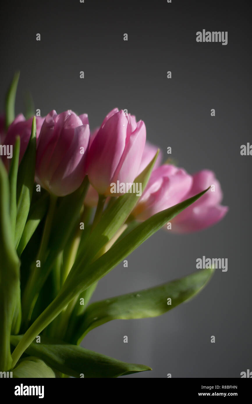 Pembe hi-res stock photography and images - Alamy