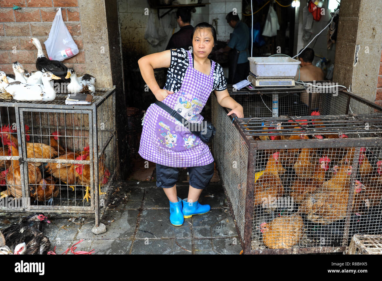 Saleswoman selling chickens hi-res stock photography and images - Alamy