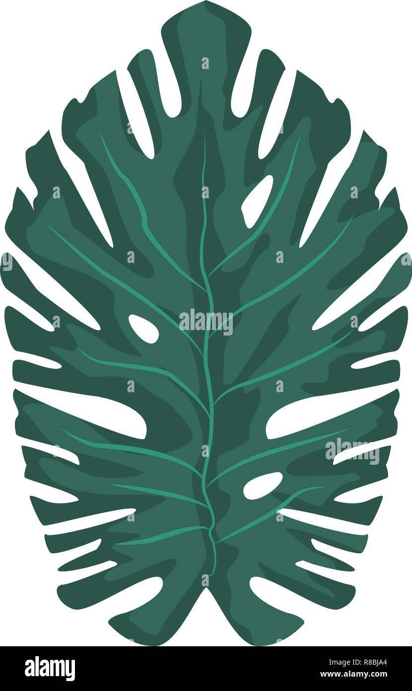 palm leaf icon Stock Vector Image & Art - Alamy