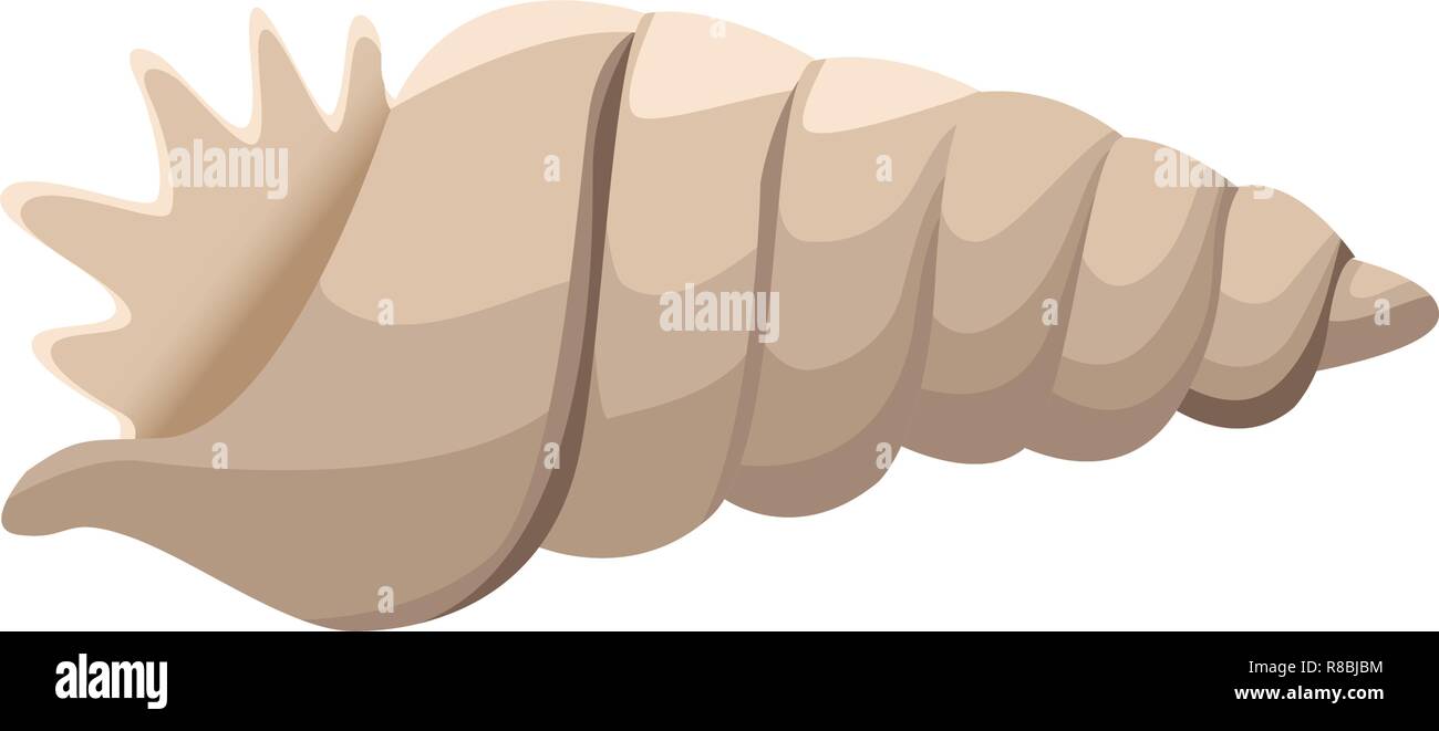 sea shells icon Stock Vector Image & Art - Alamy