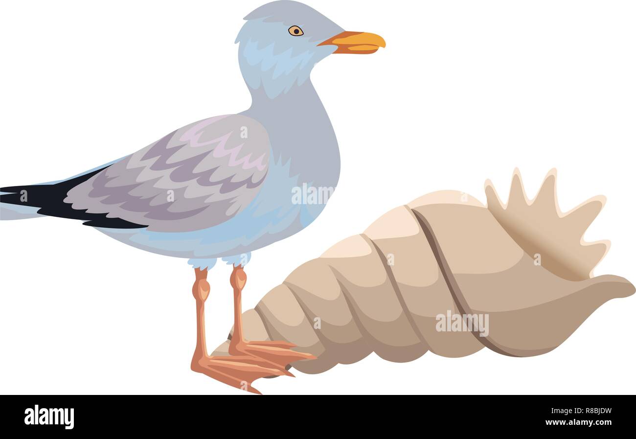 Bright seashell Stock Vector Images - Alamy