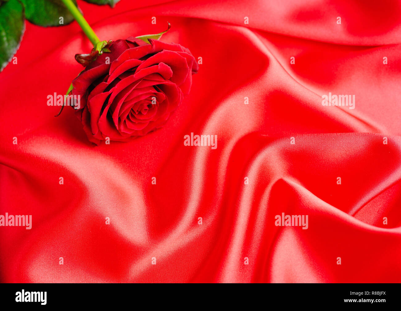 Red rose on a red satin background Stock Photo - Alamy