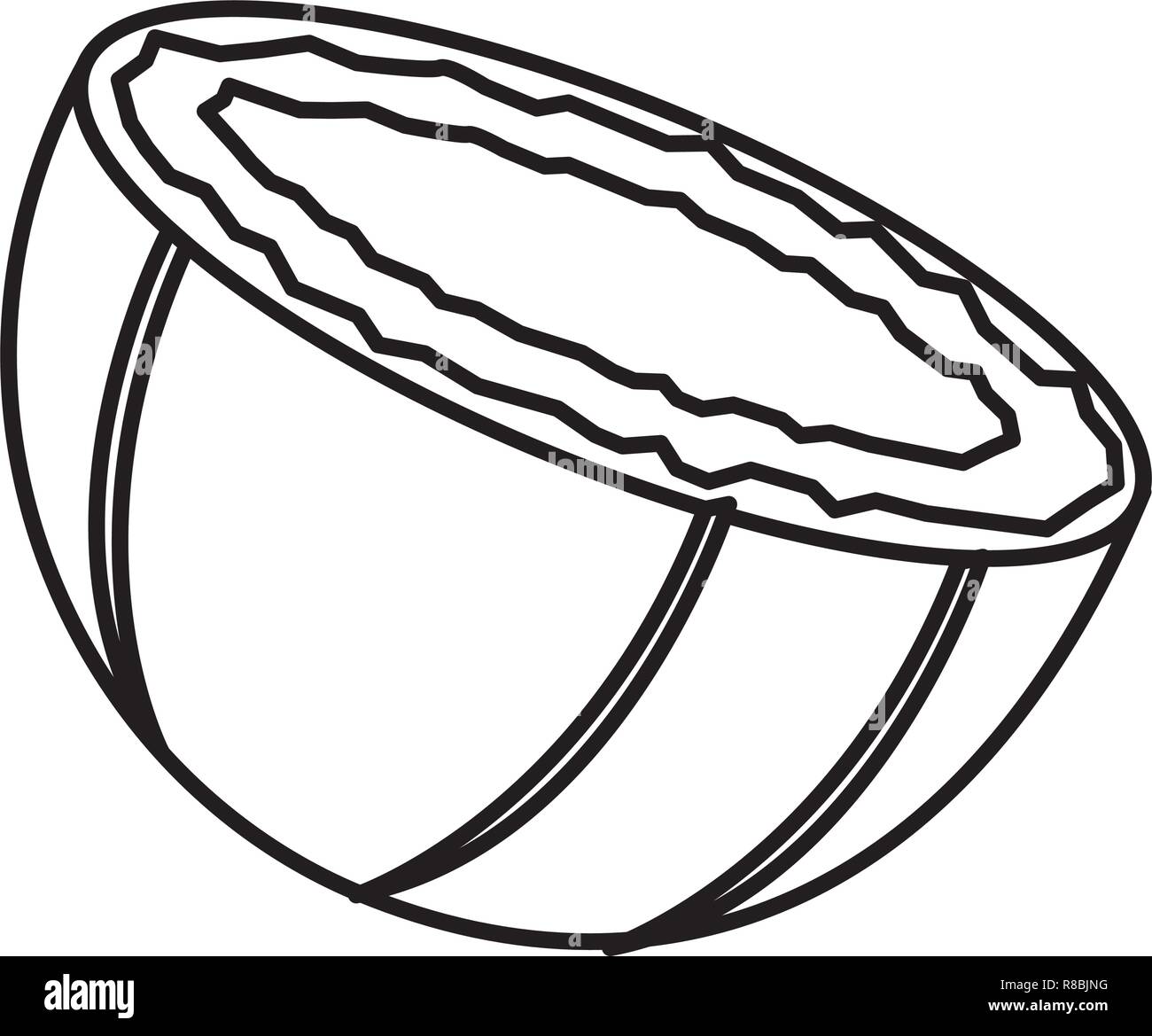 coconut isolated icon Stock Vector Image & Art - Alamy