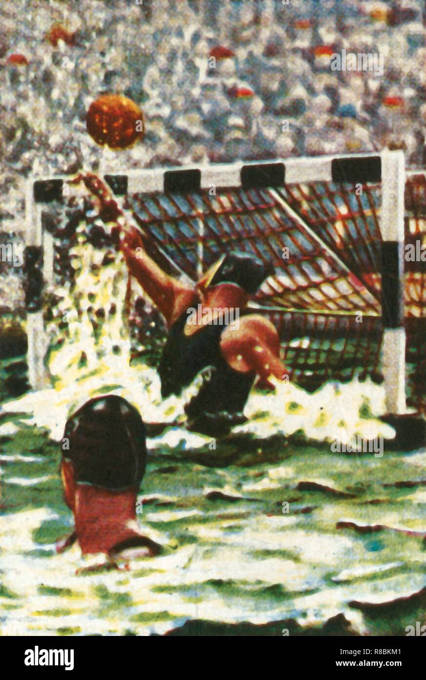 German water polo team hi-res stock photography and images - Alamy