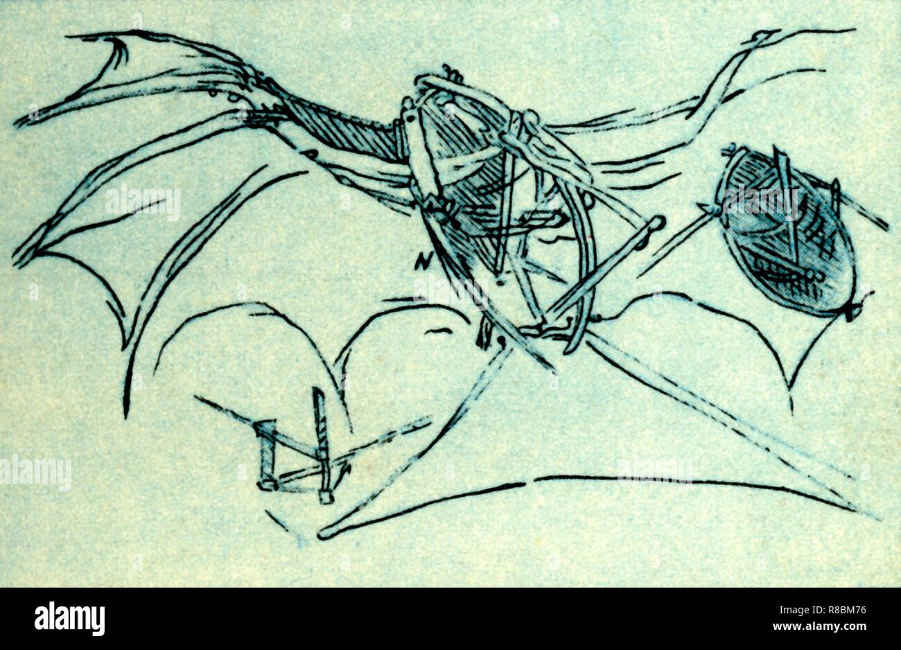 Leonardo da vinci flying machine hi-res stock photography and images ...