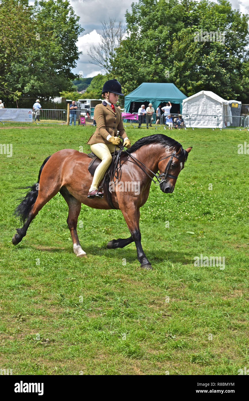 A young girl rides her pony in a traditional horse & rider competition ...