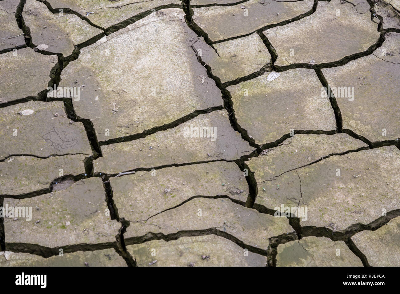 Ground cracks texture Stock Photo - Alamy