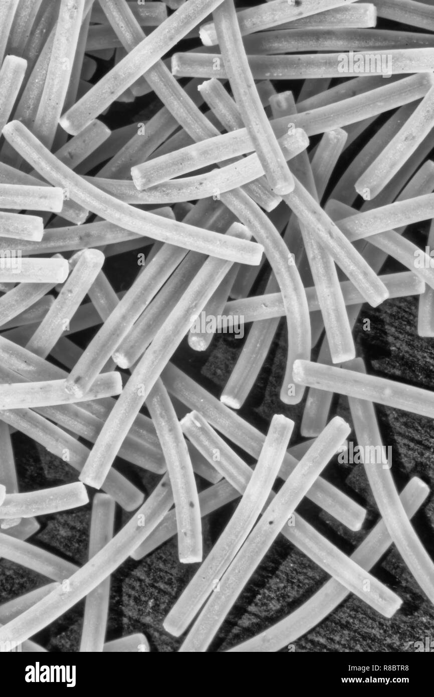 Vermicelli Black and White Stock Photos & Images - Alamy