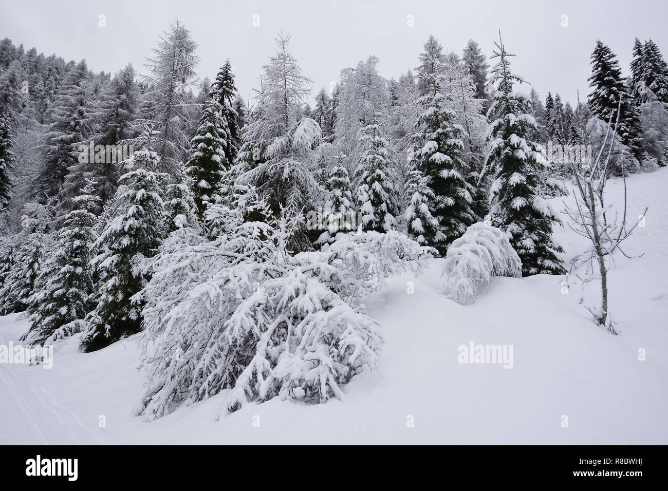 a big wave of bad weather with blizzard wind and great cold Stock Photo ...