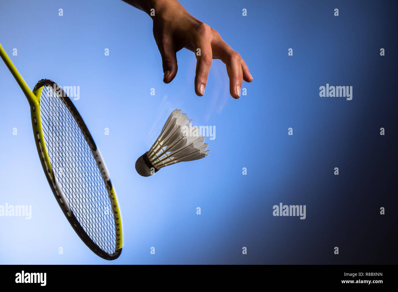 badminton racket and shuttlecock closeup Stock Photo - Alamy