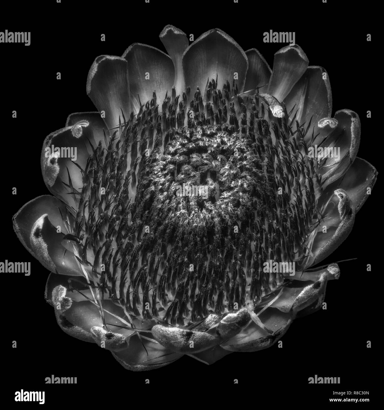 Low key texture Black and White Stock Photos & Images - Alamy