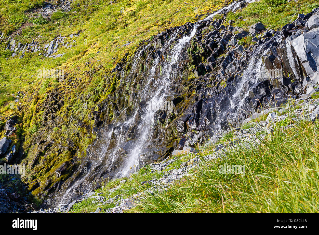small stream over rocks and earth in an alpine meadow Stock Photo - Alamy