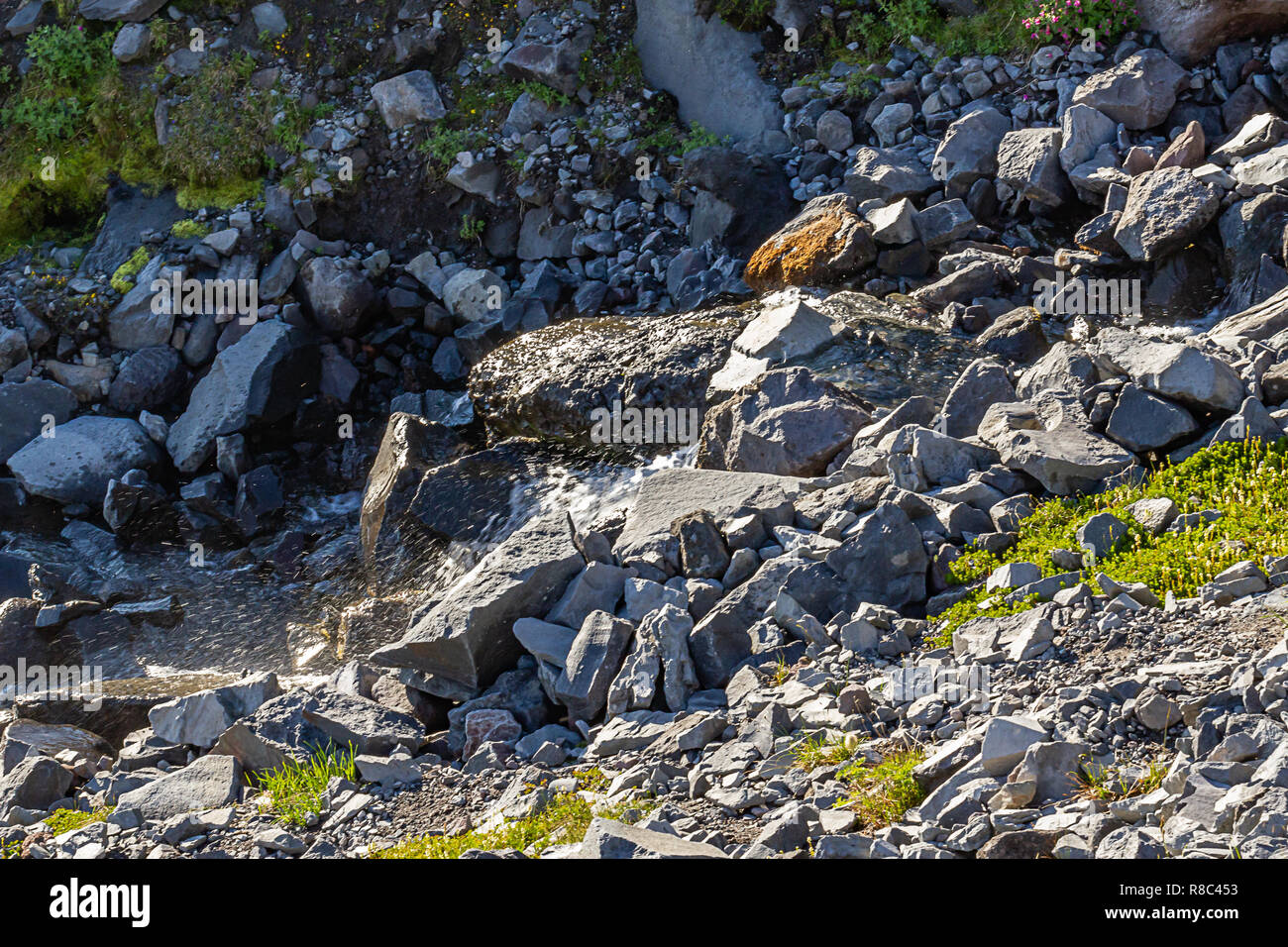 Shallow soil rocky soil hi-res stock photography and images - Alamy